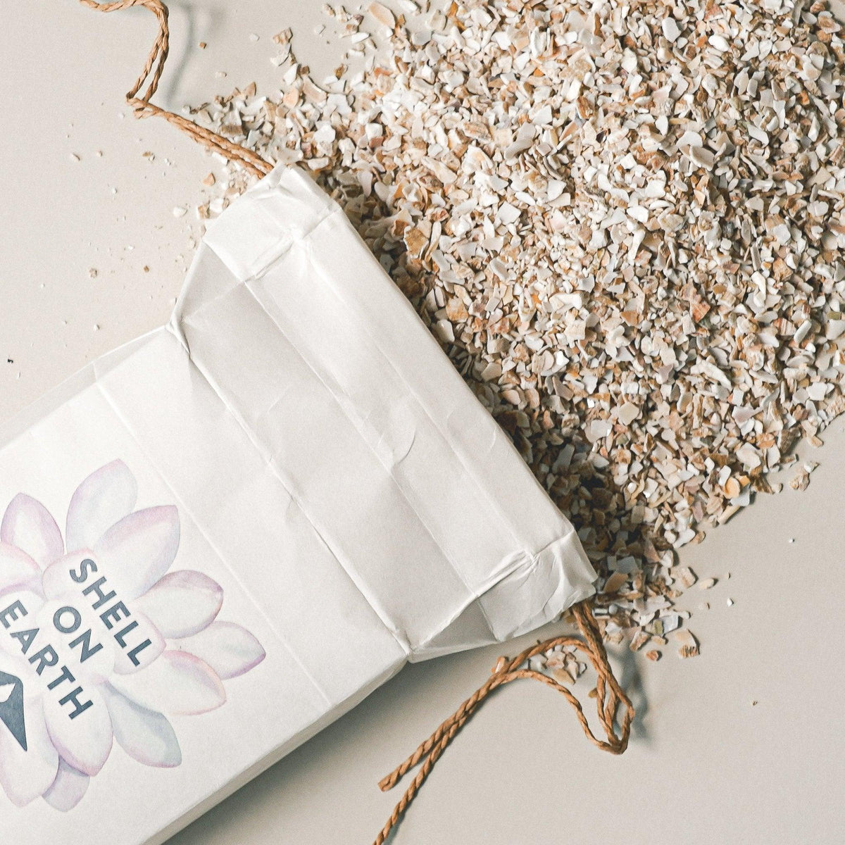 Super Crush Crushed Whelk Shells - Ideal for Indoor Plant Pots ...